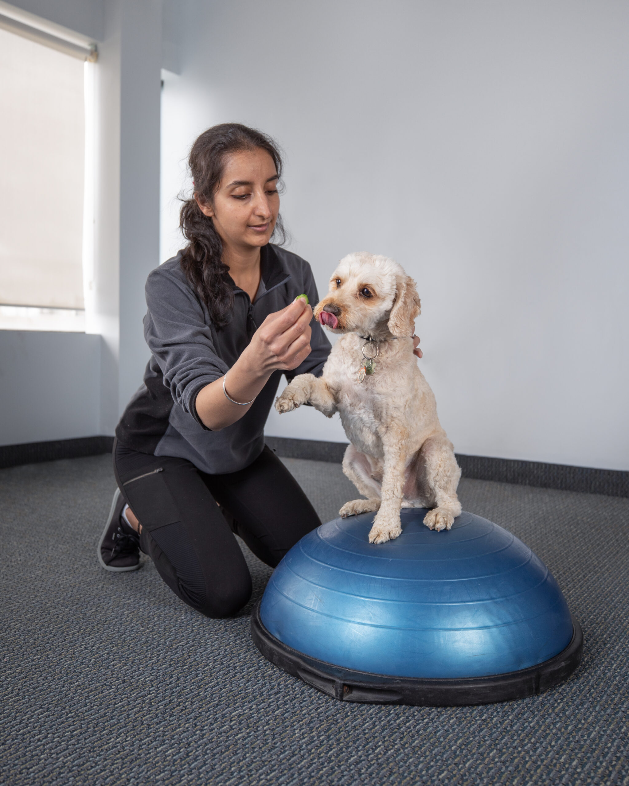 Our Team - Niagara Canine Conditioning Centre